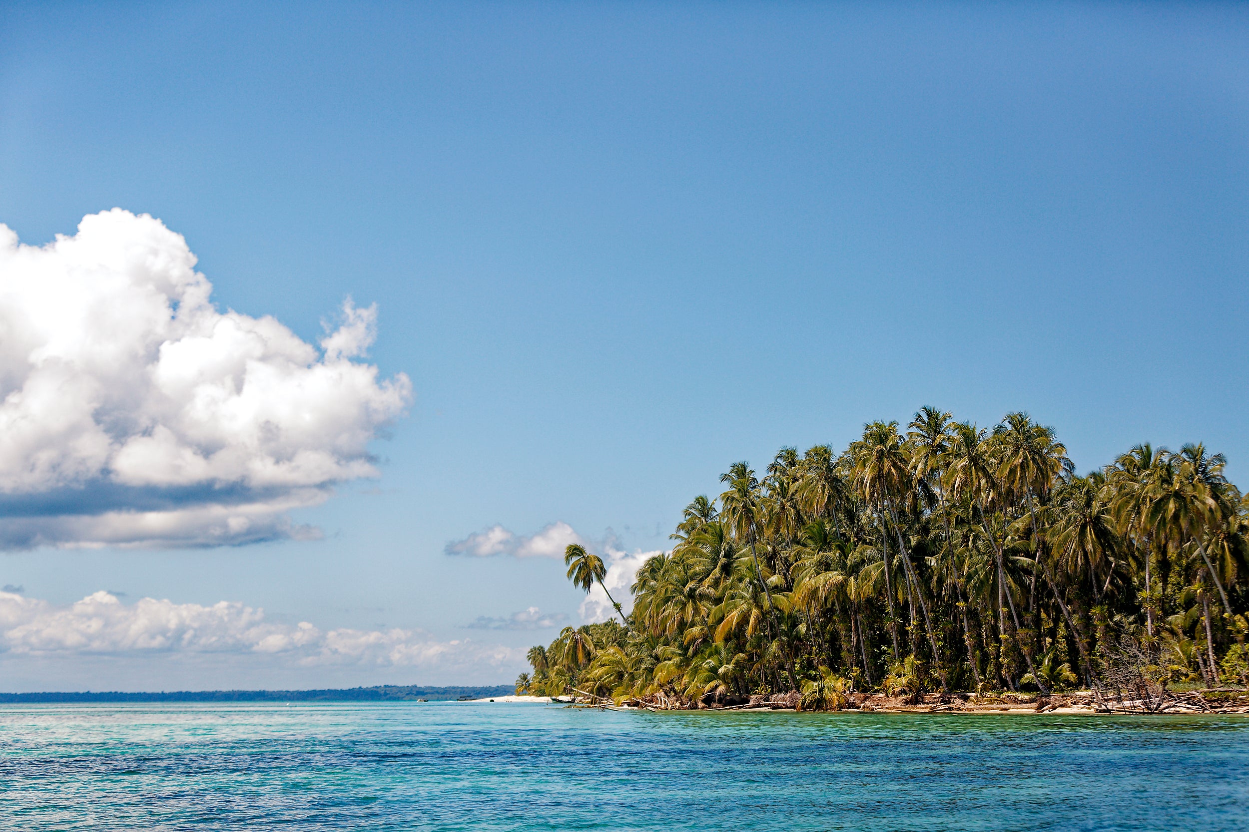 Thai Massage Training Retreat – Coco Kelli